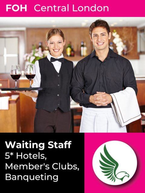 HH851_Waiting and Bar Staff | Hospitality Hunters